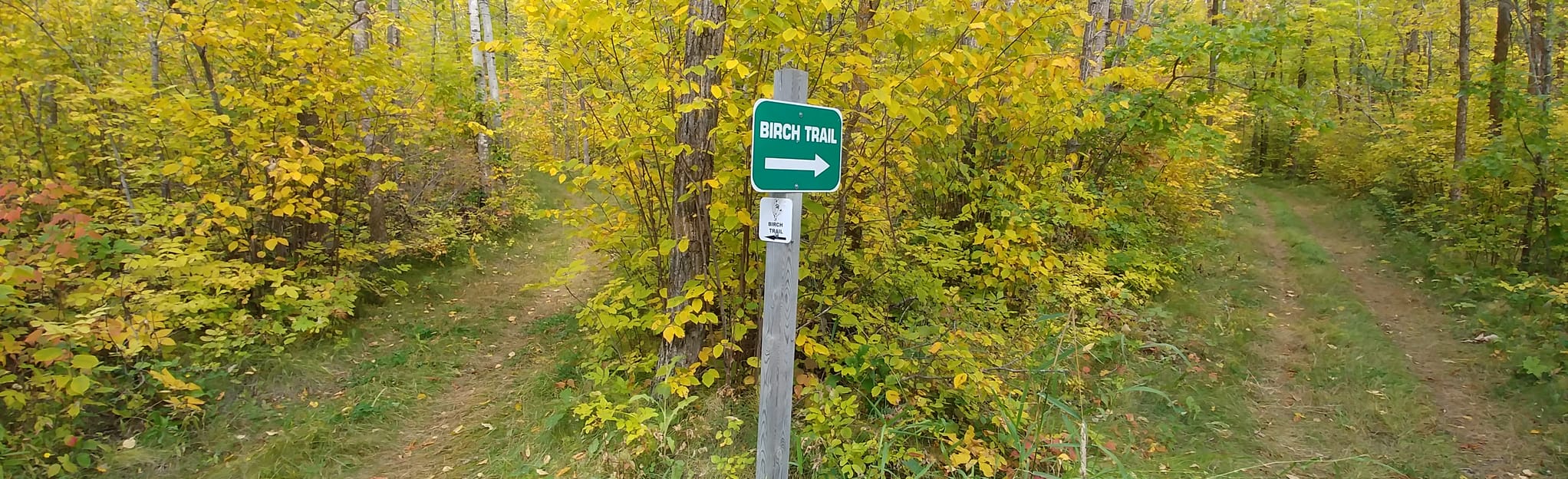 Birch Trail: 31 Reviews, Map - Manitoba, Canada | AllTrails