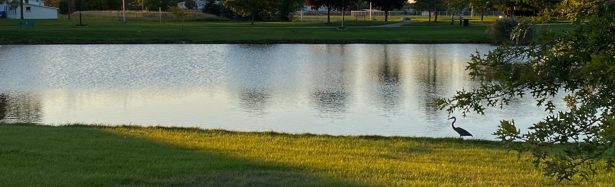 Reflection Pond Path: 12 Fotos - Michigan | AllTrails