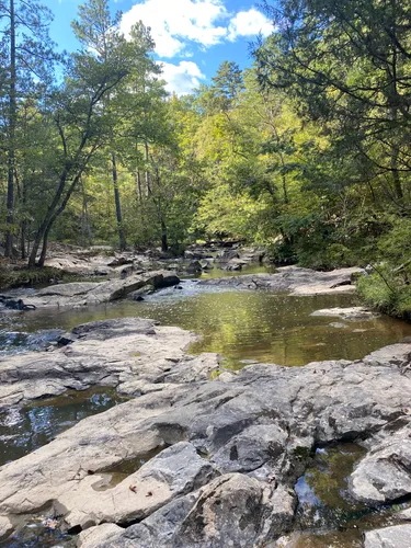 10 Best Hikes and Trails in Duke Forest Korstian Division | AllTrails