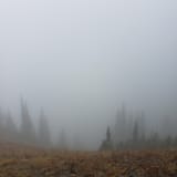 Mount Furlong Trail, Montana - 12 Reviews, Map | AllTrails