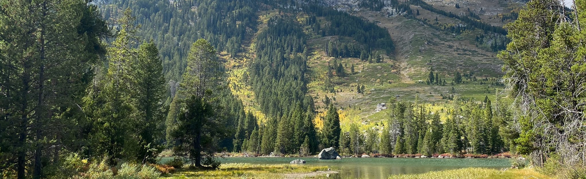 String Lake Trail to Leigh Lake Trailhead, Wyoming - 182 Reviews, Map ...