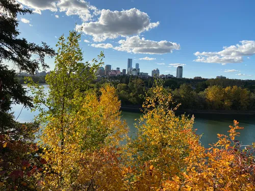 Best Hikes and Trails in Forest Heights Park | AllTrails