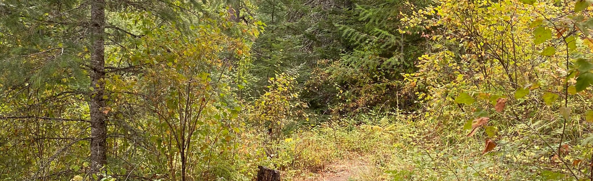 AllTrails | Vision Quest: 31 Reviews, Map - Washington