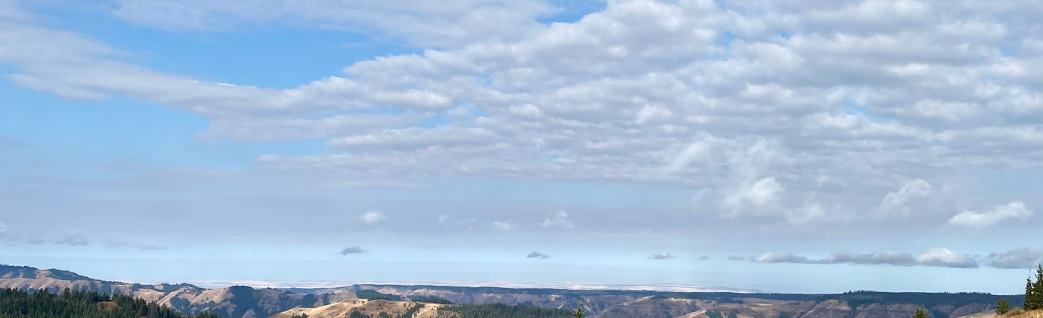 Umatilla Rim Trail: 9 Reviews, Map - Oregon | AllTrails