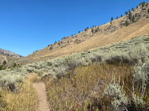 10 Best Backpacking Trails in Boise National Forest | AllTrails