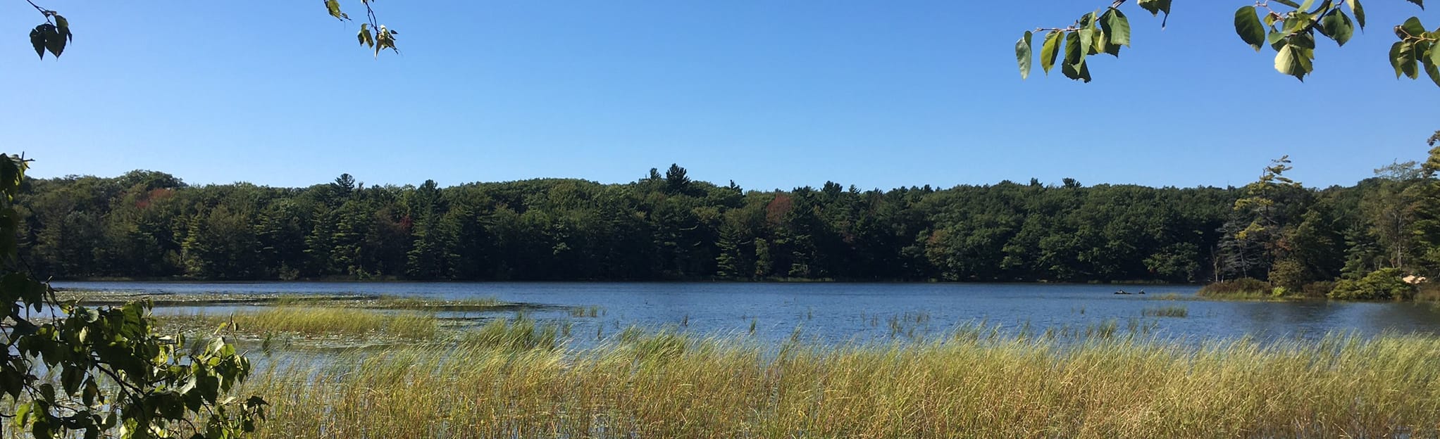 Lost Lake and Island Loop Trail: 697 Reviews, Map - Michigan | AllTrails