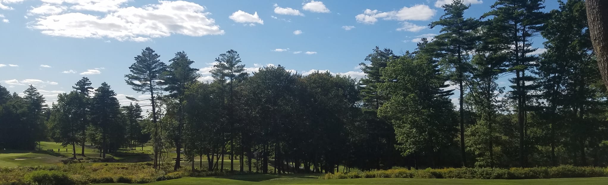 Marble Hill Loop, Massachusetts - 193 Reviews, Map | AllTrails