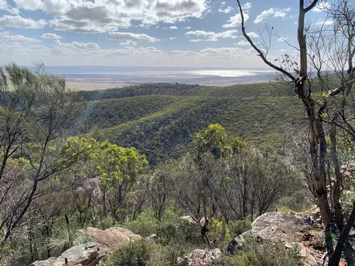 10 Best Forest Trails in Mount Remarkable National Park | AllTrails