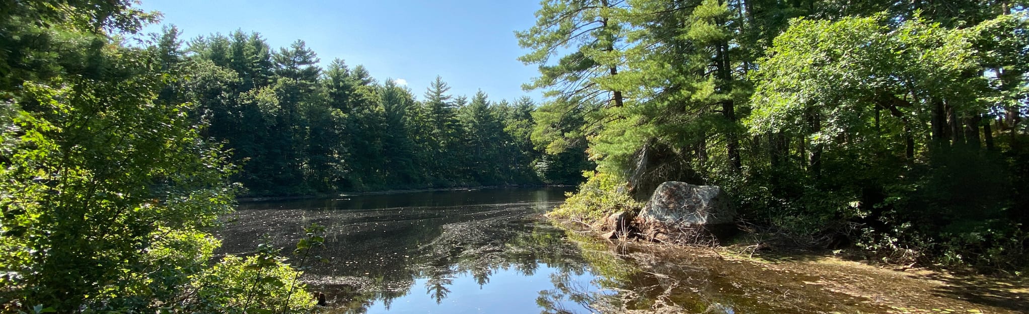 Bird Street Conservation Area Loop: 408 foto's - Massachusetts | AllTrails