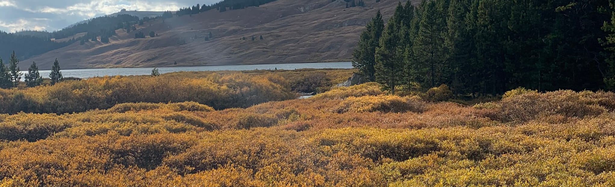 Island Lake, Heart Lake, Beartooth Lake: 40 Reviews, Map - Wyoming ...