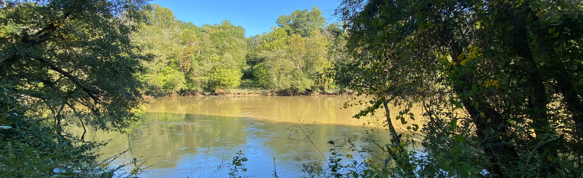 Johnson Ferry Short Loop, Georgia - 395 Reviews, Map | AllTrails