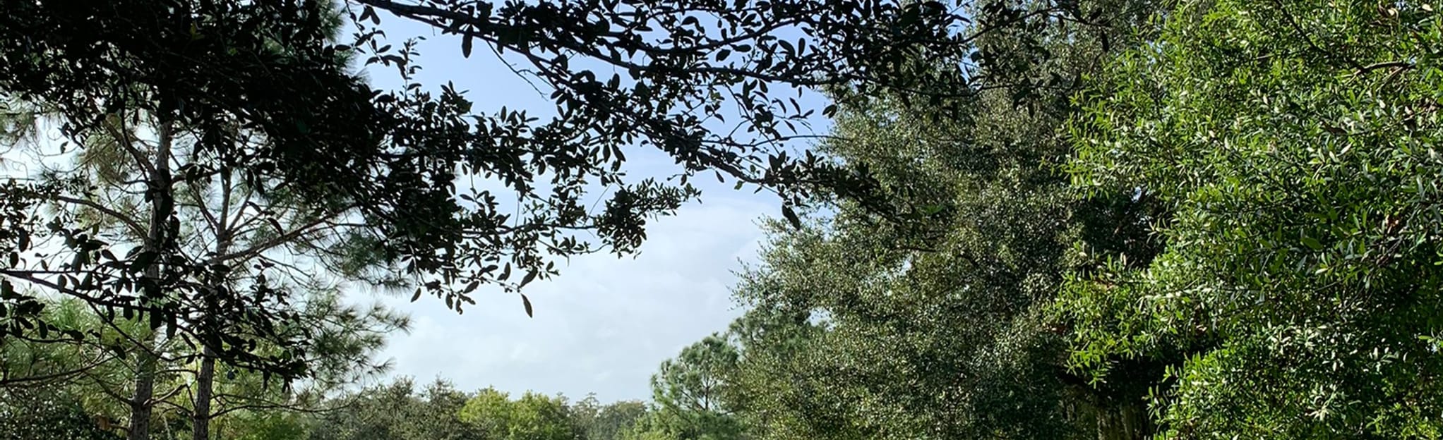 Shingle Creek Trail and Lake Fran Trail Loop, Florida - 191 Reviews ...