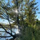 Quequechan River Rail Trail, Massachusetts - 177 Reviews, Map | AllTrails