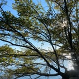 Quequechan River Rail Trail, Massachusetts - 177 Reviews, Map | AllTrails