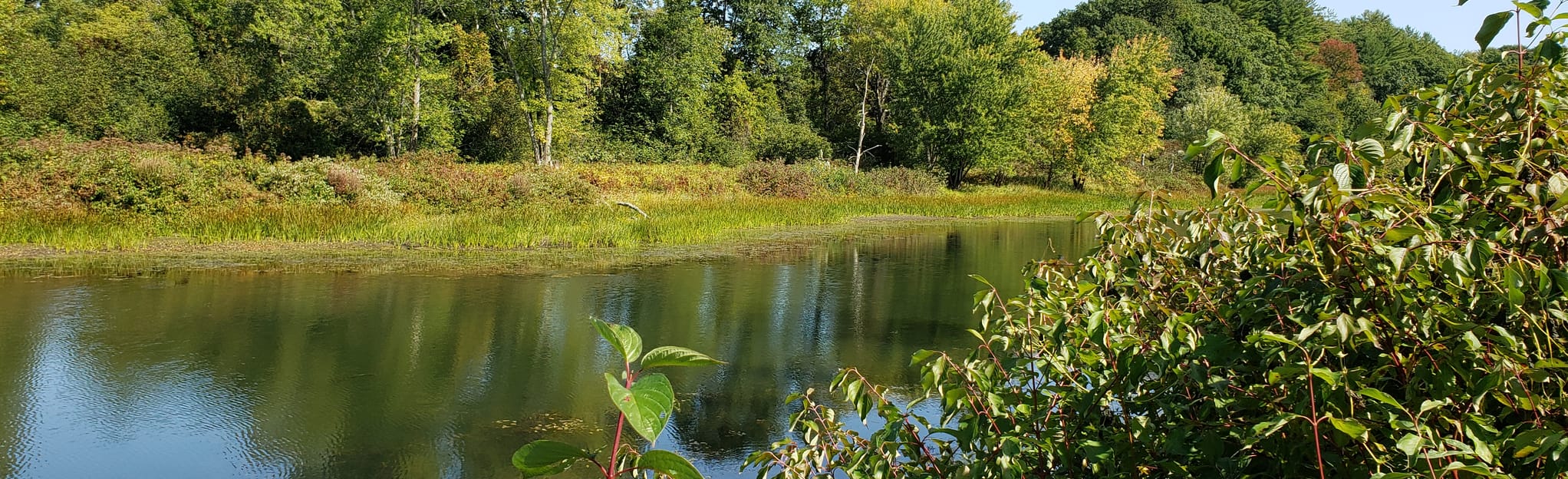 Cadwell Trail, Vermont - 92 Reviews, Map | AllTrails