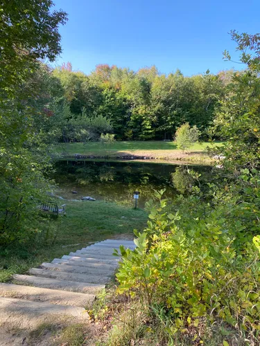 Best Walking Trails in Cardigan Mountain State Park | AllTrails