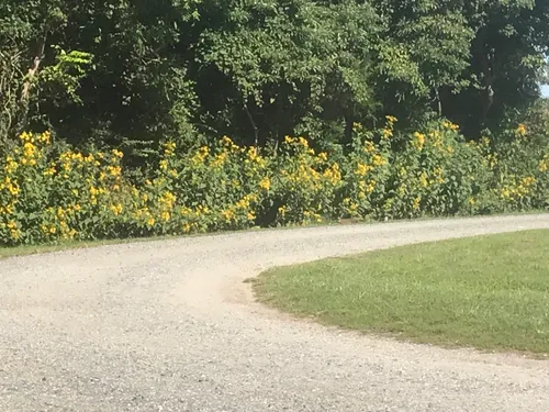 Best Hikes and Trails in Wye Island Natural Resource Management Area ...