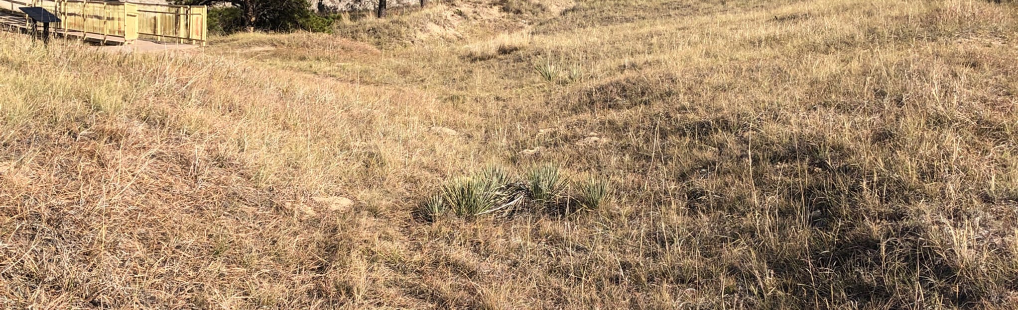 Oregon Trail Ruts Loop: 63 Reviews, Map - Wyoming | AllTrails