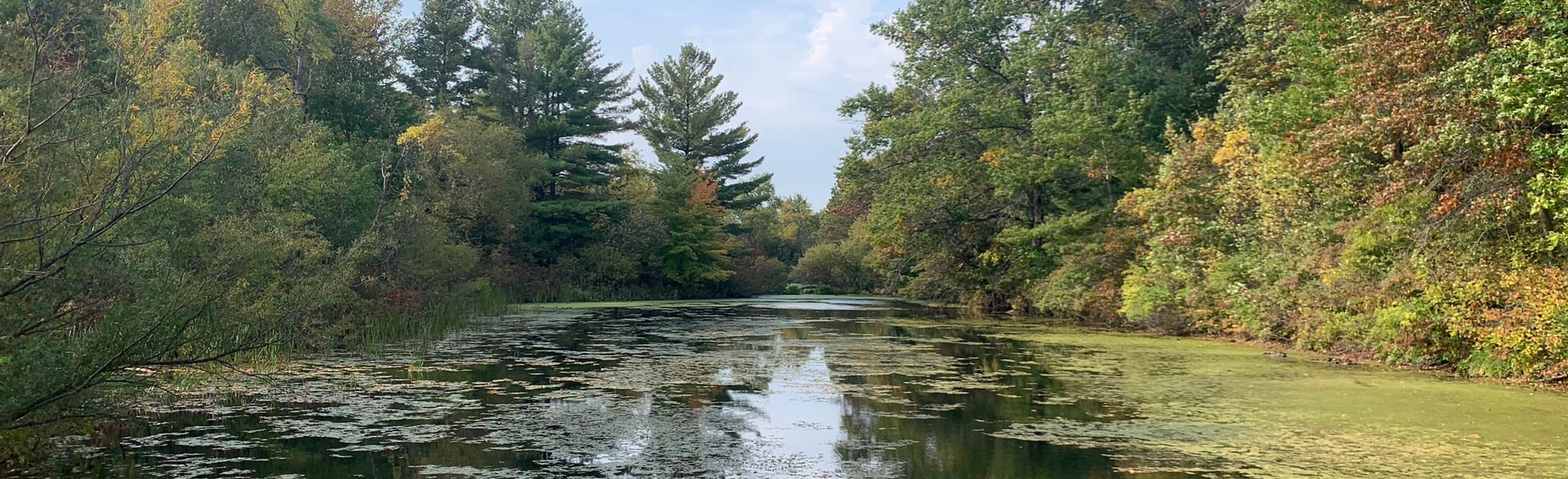 Red Cedar River Shoreline Trail, Wisconsin - 78 Reviews, Map | AllTrails