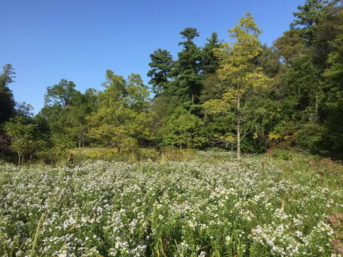 Best Hikes and Trails in Springwater Conservation Area | AllTrails