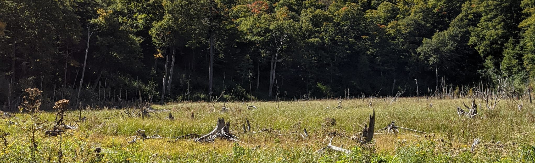 Sugarloaf Mountain Loop via Pecoy Notch and Mink Hollow Trails, New ...