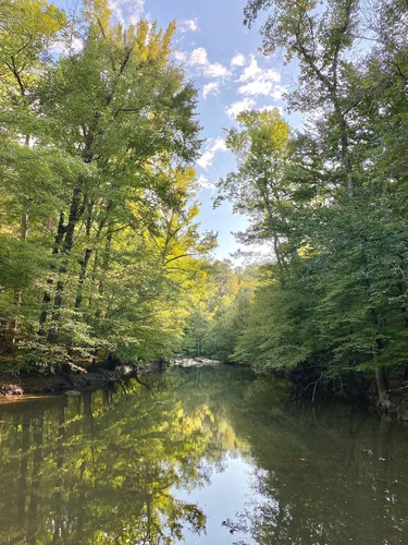 10 Best Hikes and Trails in Duke Forest Korstian Division | AllTrails