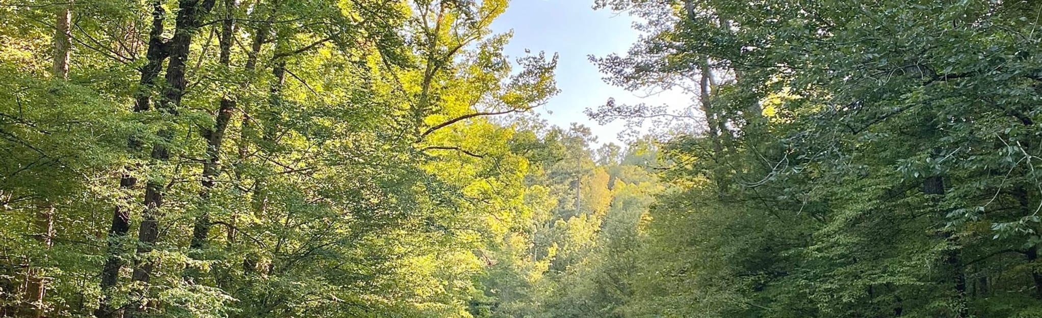 Concrete Bridge Road to Hard Climb Circuit: 779 foto - Carolina del ...