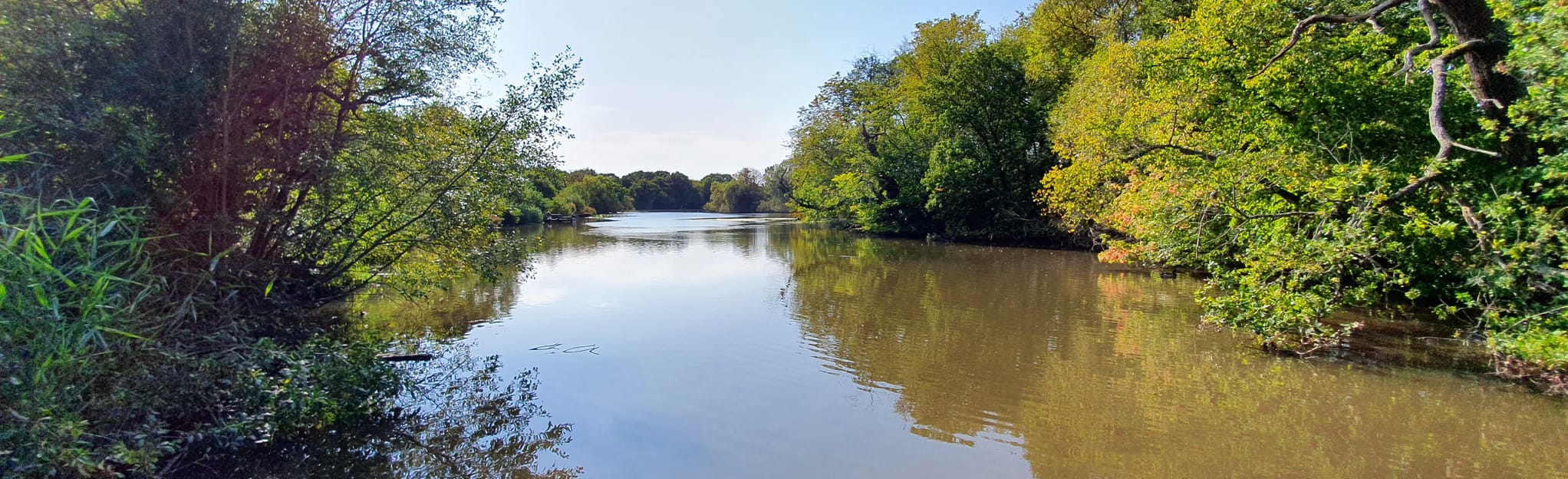 Epping Forest Circular: 548 Reviews, Map - Essex, England | AllTrails