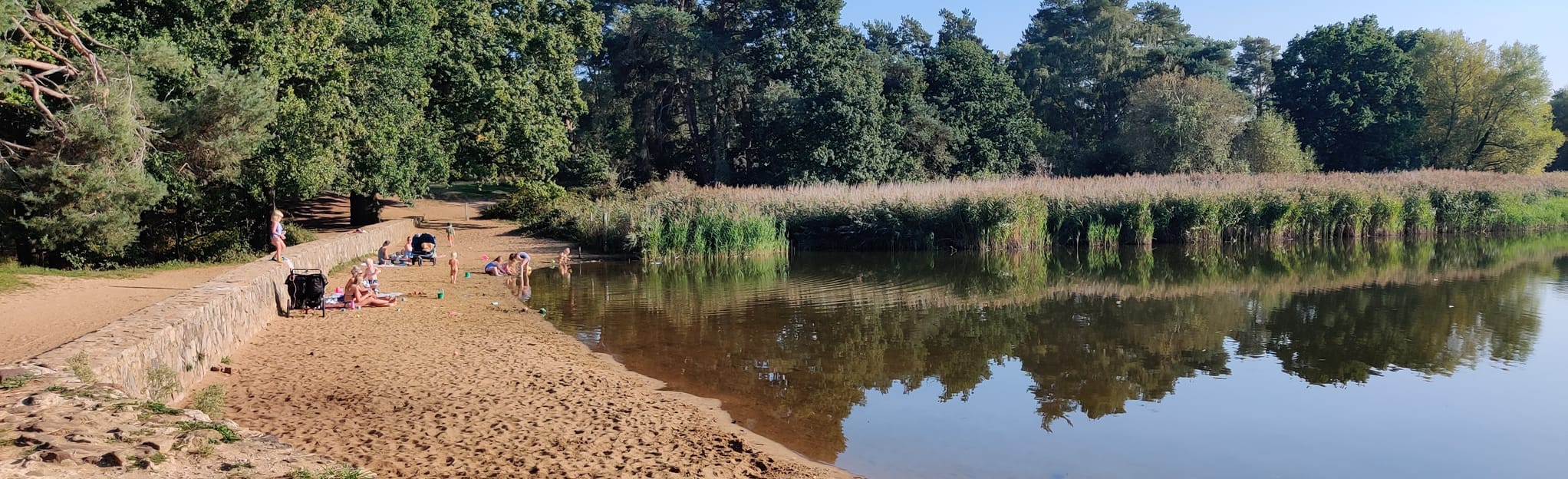 Hindhead, Frensham Pond and Ludshott Common MTB: 17 Reviews, Map ...