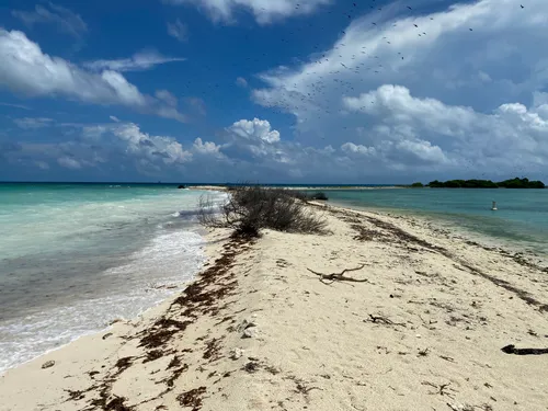 Best Hikes and Trails in Key West | AllTrails