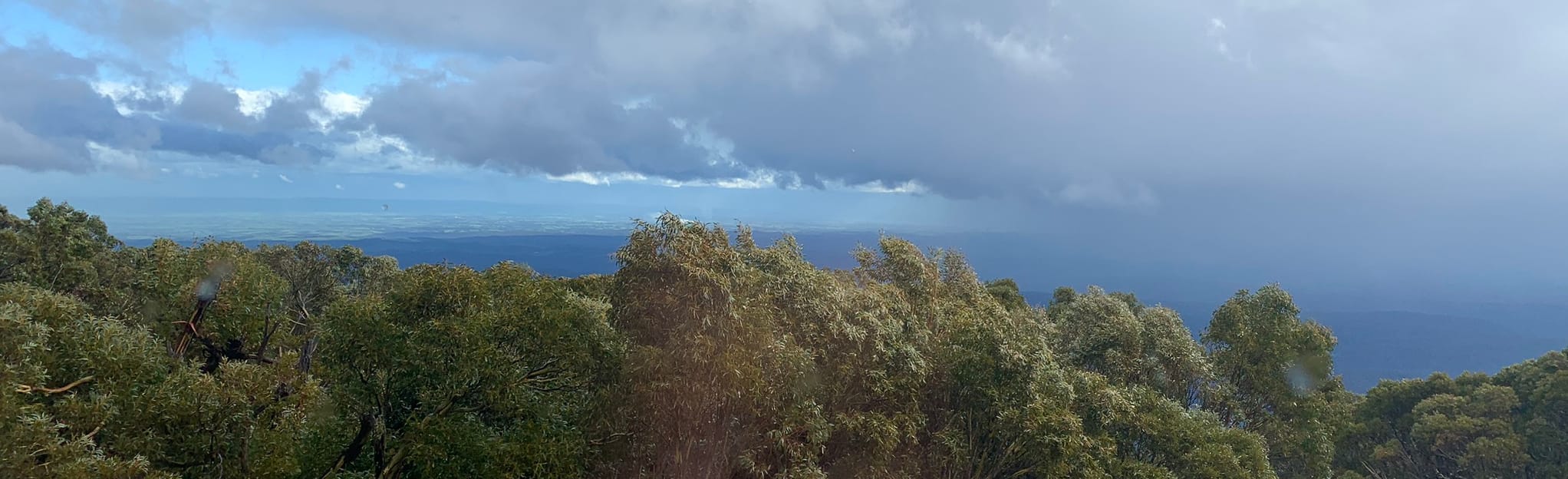 Mount Baw Baw , Victoria, Australia - Map, Guide | AllTrails