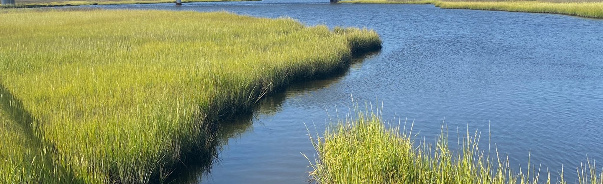 Soundside Park Boardwalk Loop, North Carolina - 69 Reviews, Map | AllTrails