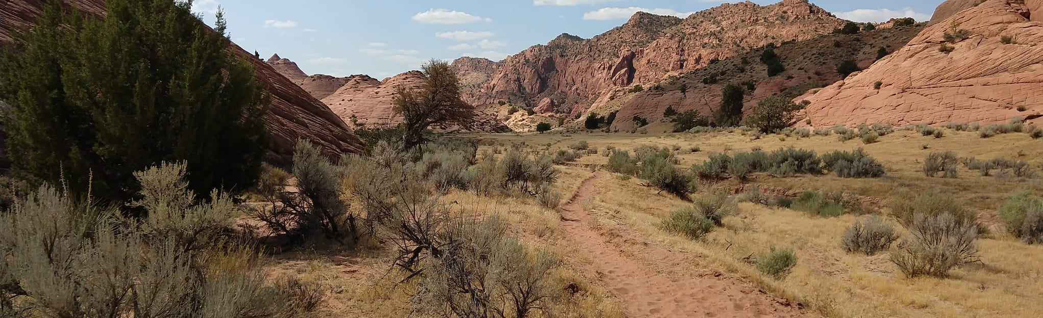 Edmaiers Secret Trail: 341 fotos - Utah | AllTrails