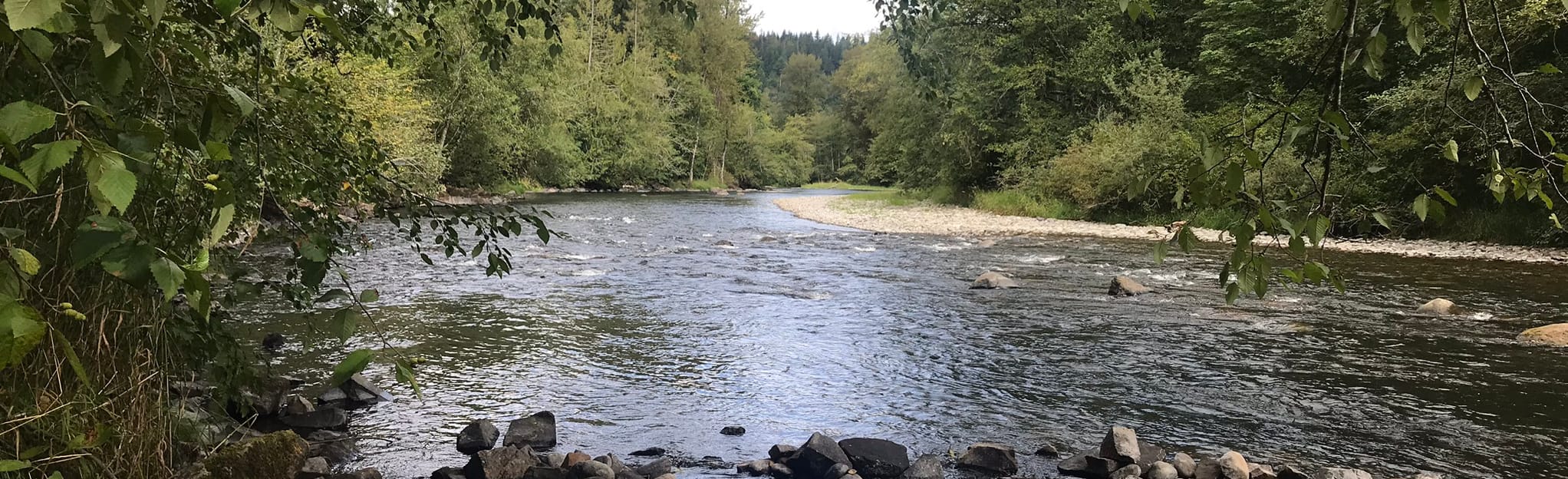 Flaming Geyser State Park Trail: 230 Reviews, Map - Washington | AllTrails