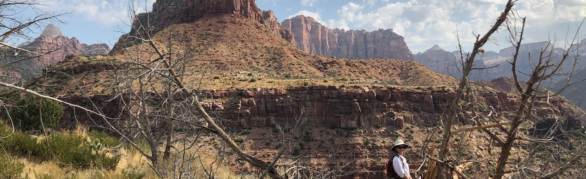 Grapevine Trail: 51 Reviews, Map - Utah | AllTrails