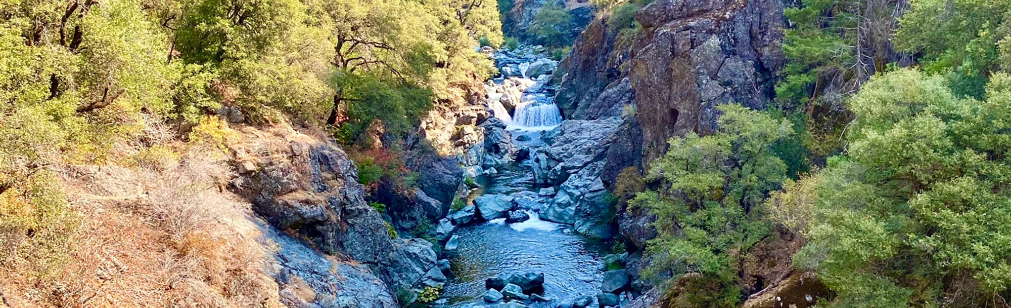 Butte Creek: 36 Reviews, Map - California | AllTrails