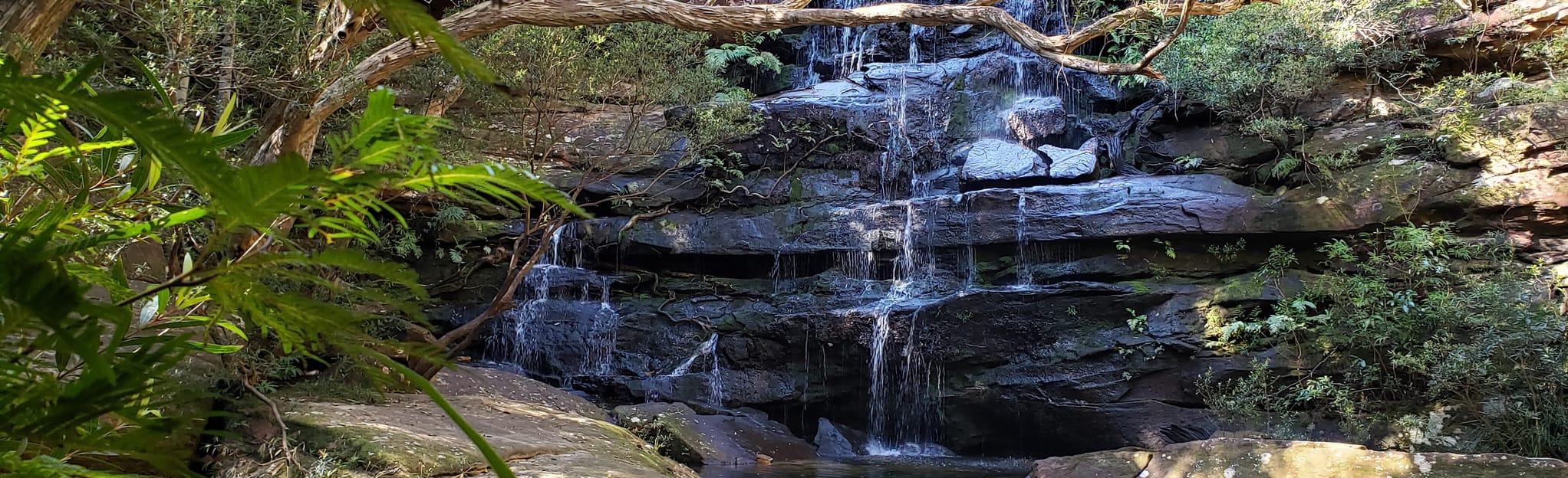 Kariong Brook Falls via Thommos Loop: 403 foto's - New South Wales ...