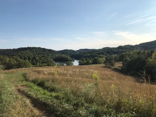 Best Walking Trails in Horner | AllTrails