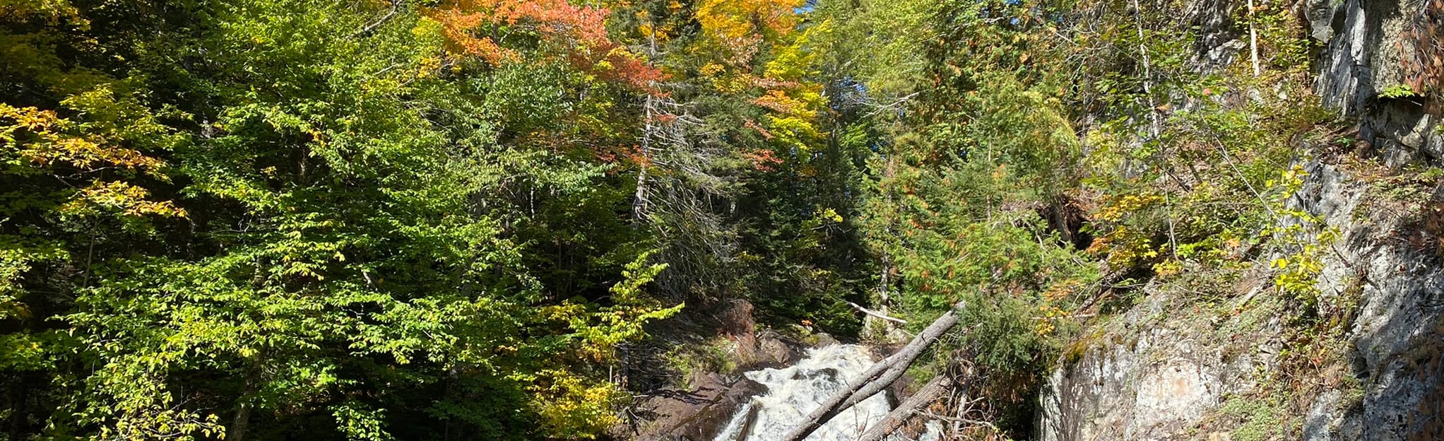 Pinnacle Falls Trail: 26 Reviews, Map - Michigan | AllTrails