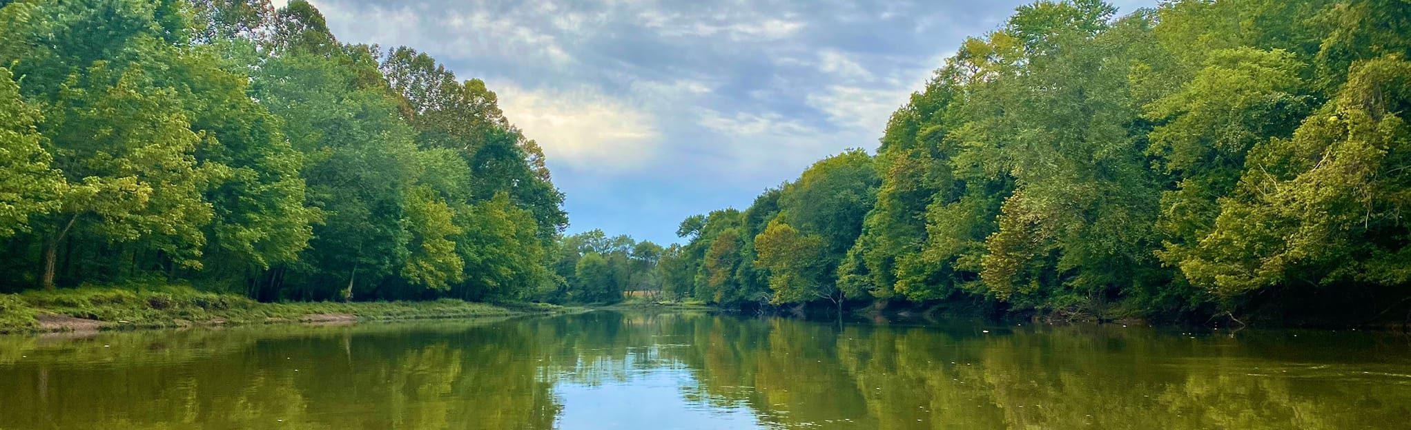 Barren River Paddle: Tailwater Campground to HWY 101: 13 Reviews, Map ...