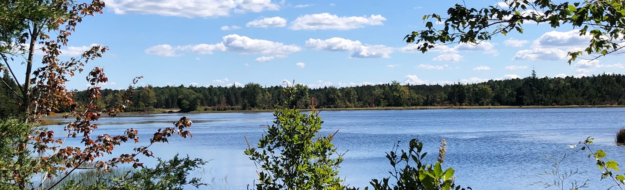 Pakim Pond Loop Trail (Mount Misery Trail): 203 Reviews, Map - New ...