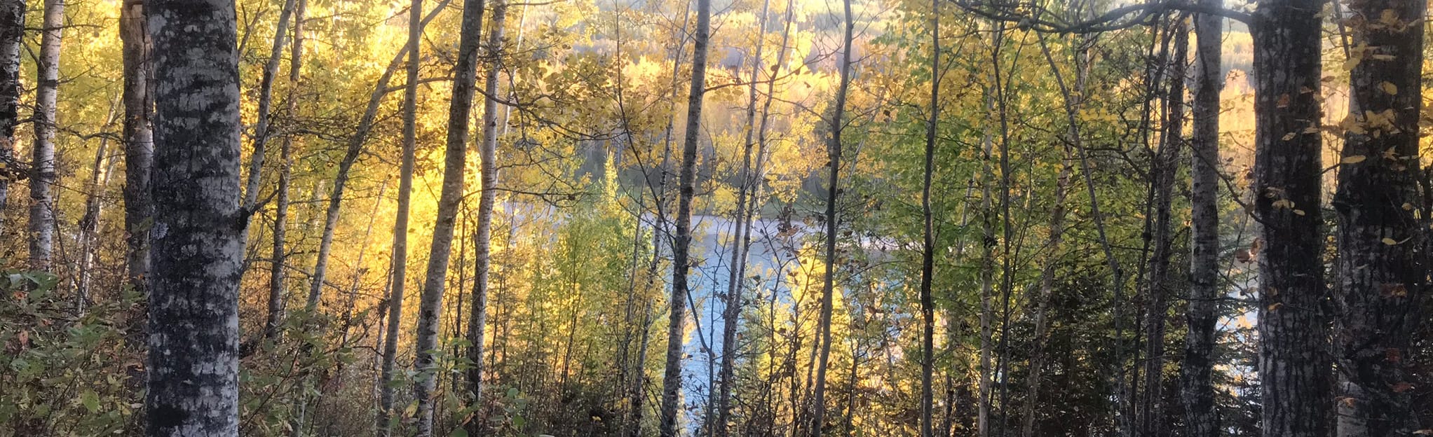 Evergreen Trail: 13 Reviews, Map - Alberta, Canada | AllTrails