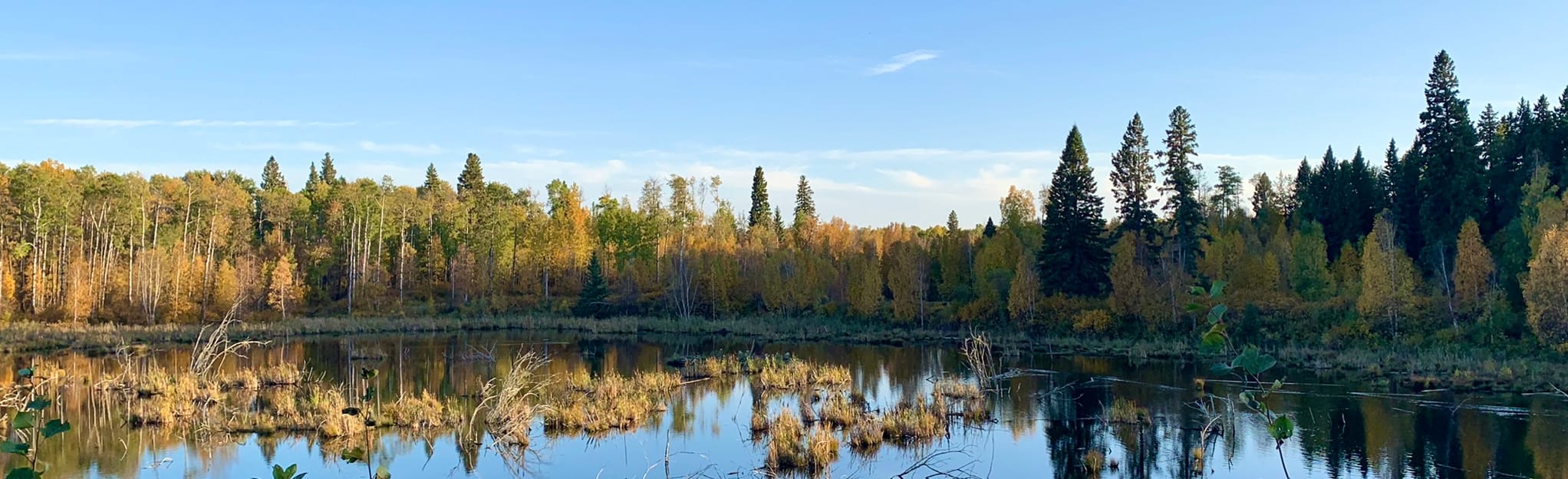 Beaver Hills Biodiversity Trail: 106 foto's - Alberta, Canada ...