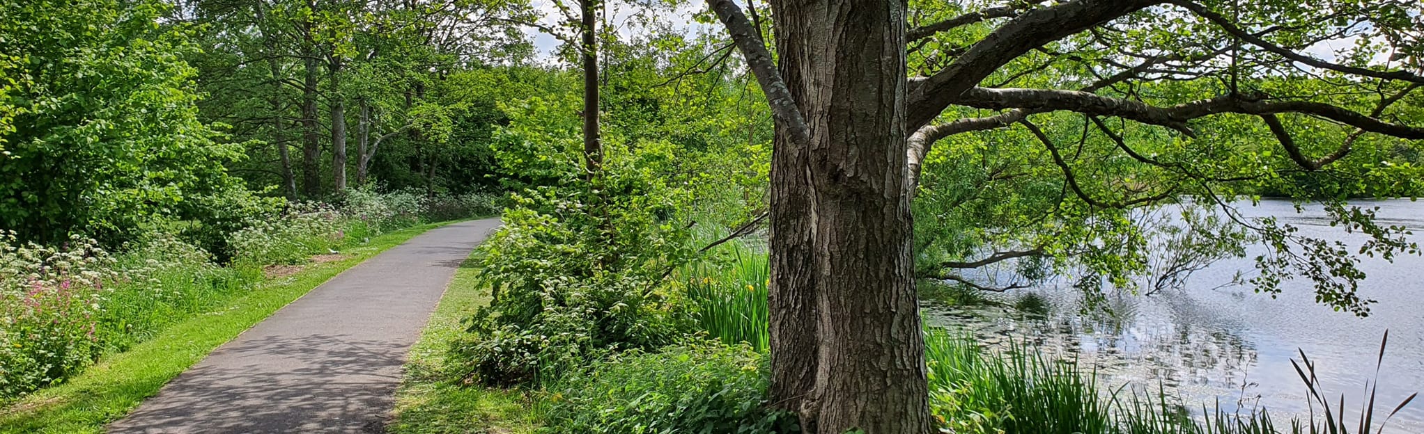 Norton Priory and Phoenix Park: 15 Fotos - Cheshire, England | AllTrails