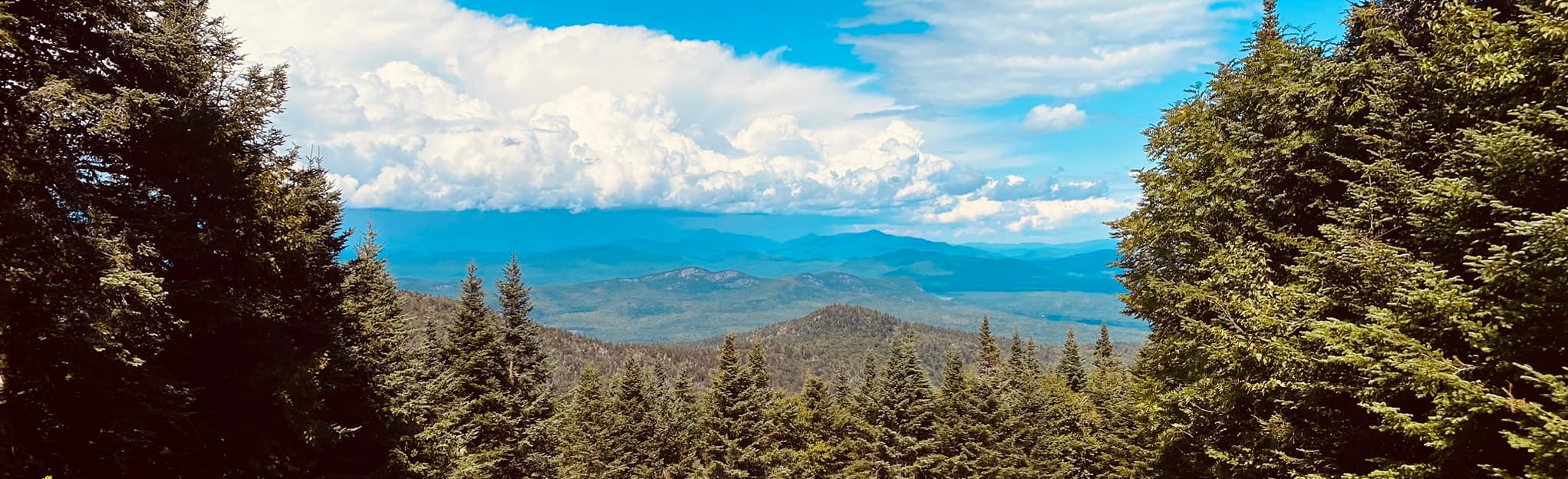 Gore Mountain via Schaefer Trail, New York - 449 Reviews, Map | AllTrails