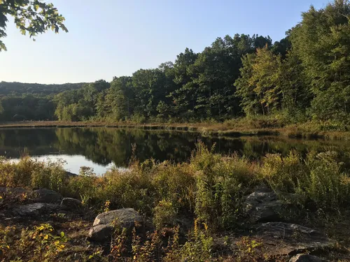 Best Hikes and Trails in Graham Mountain State Forest | AllTrails