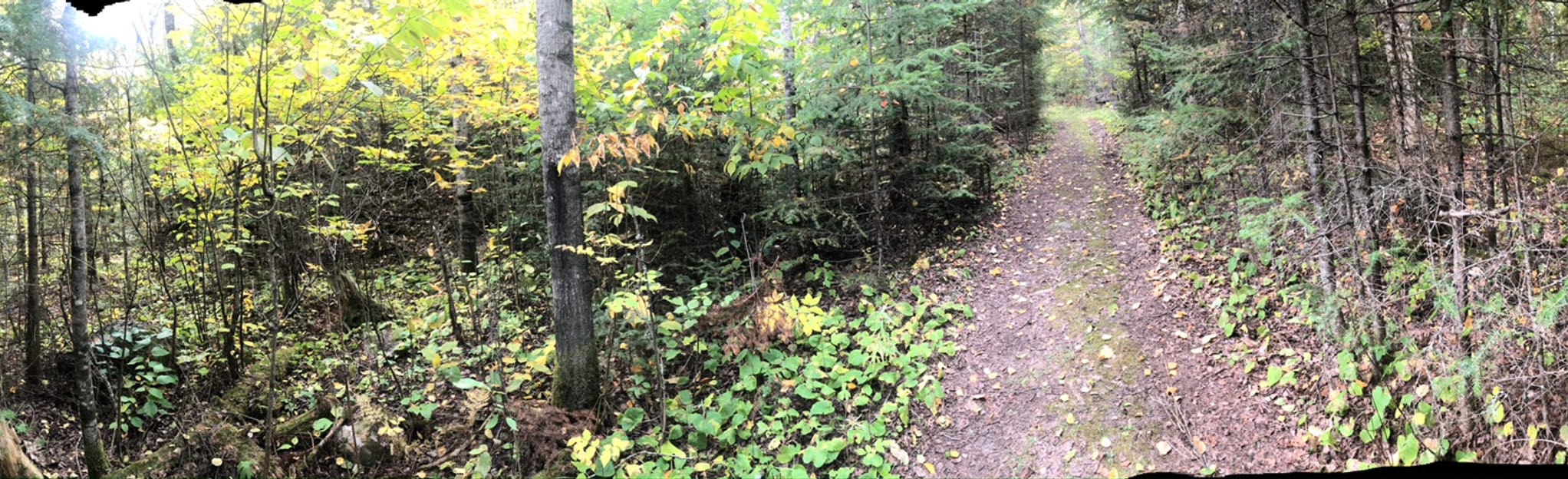 Jackfish Bay Bike Trail, Minnesota - 56 Reviews, Map | AllTrails