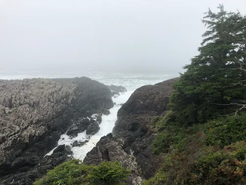 10 Best Trails and Hikes in Ucluelet | AllTrails
