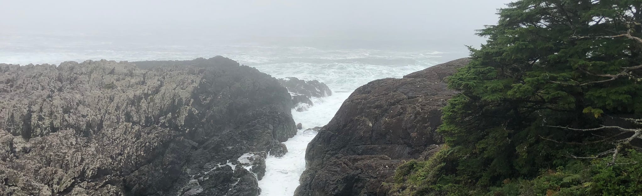 Rocky Bluffs via Ancient Cedars, British Columbia, Canada - 136 Reviews ...