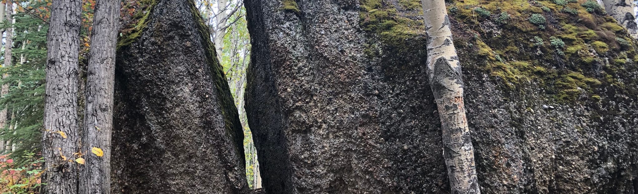 Split Rock at Sulphur Gates, Alberta, Canada - 22 Reviews, Map | AllTrails